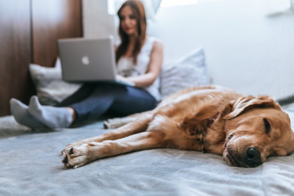 The benefits of lazy engineering for developers - Codemotion Magazine